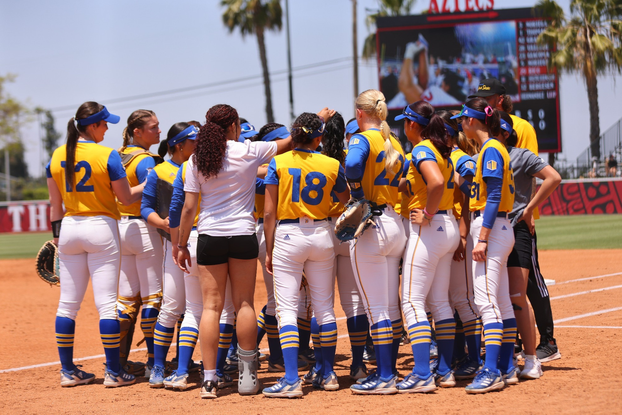 Tammy Lohmann - SJSU Athletics - Official Athletics Website - San Jose State Spartans