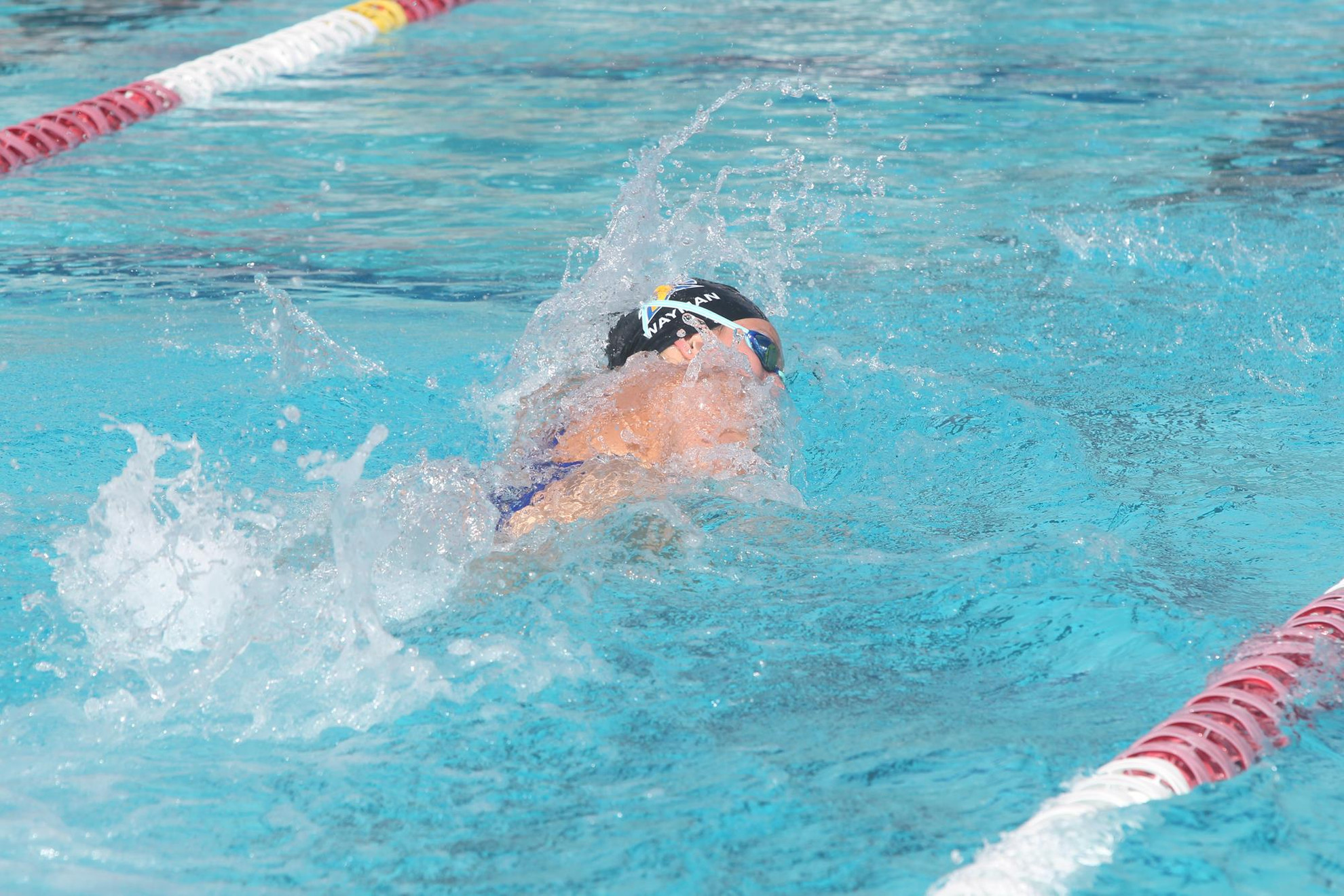 Women's Swimming and Diving 2019-20 - SJSU Athletics - Official ...