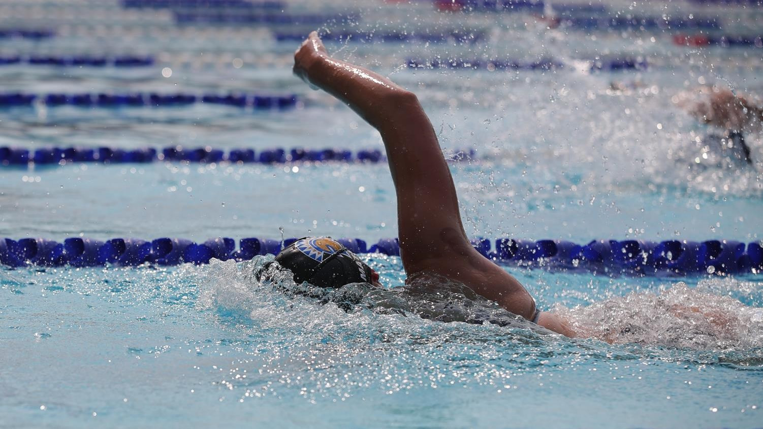 Women's Swimming and Diving - SJSU Athletics - Official Athletics Website - San Jose State Spartans