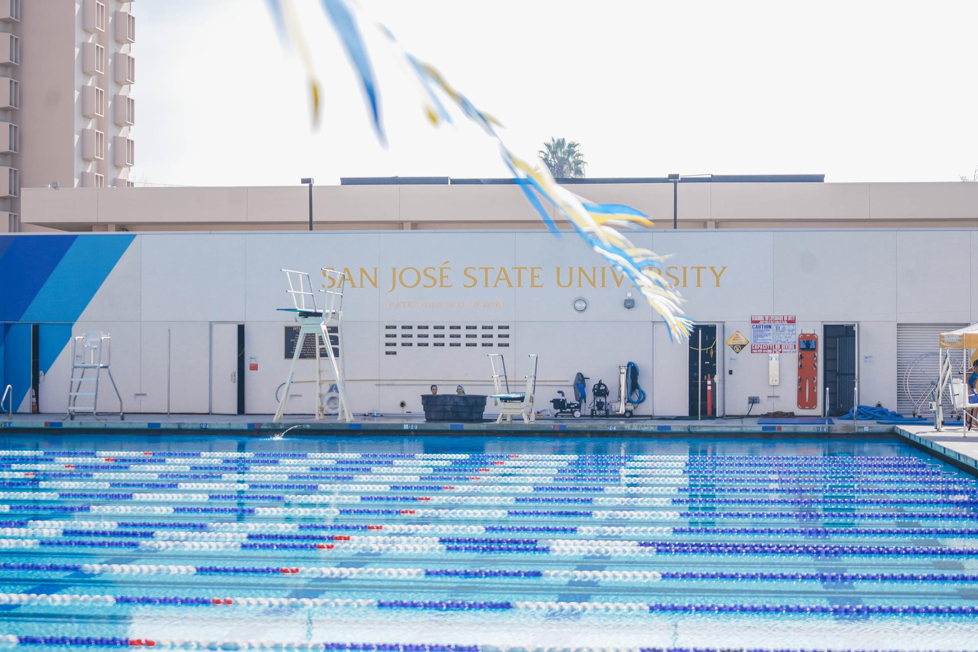 Swimming & Diving Hires Allnutt as Assistant Coach - SJSU Athletics ...