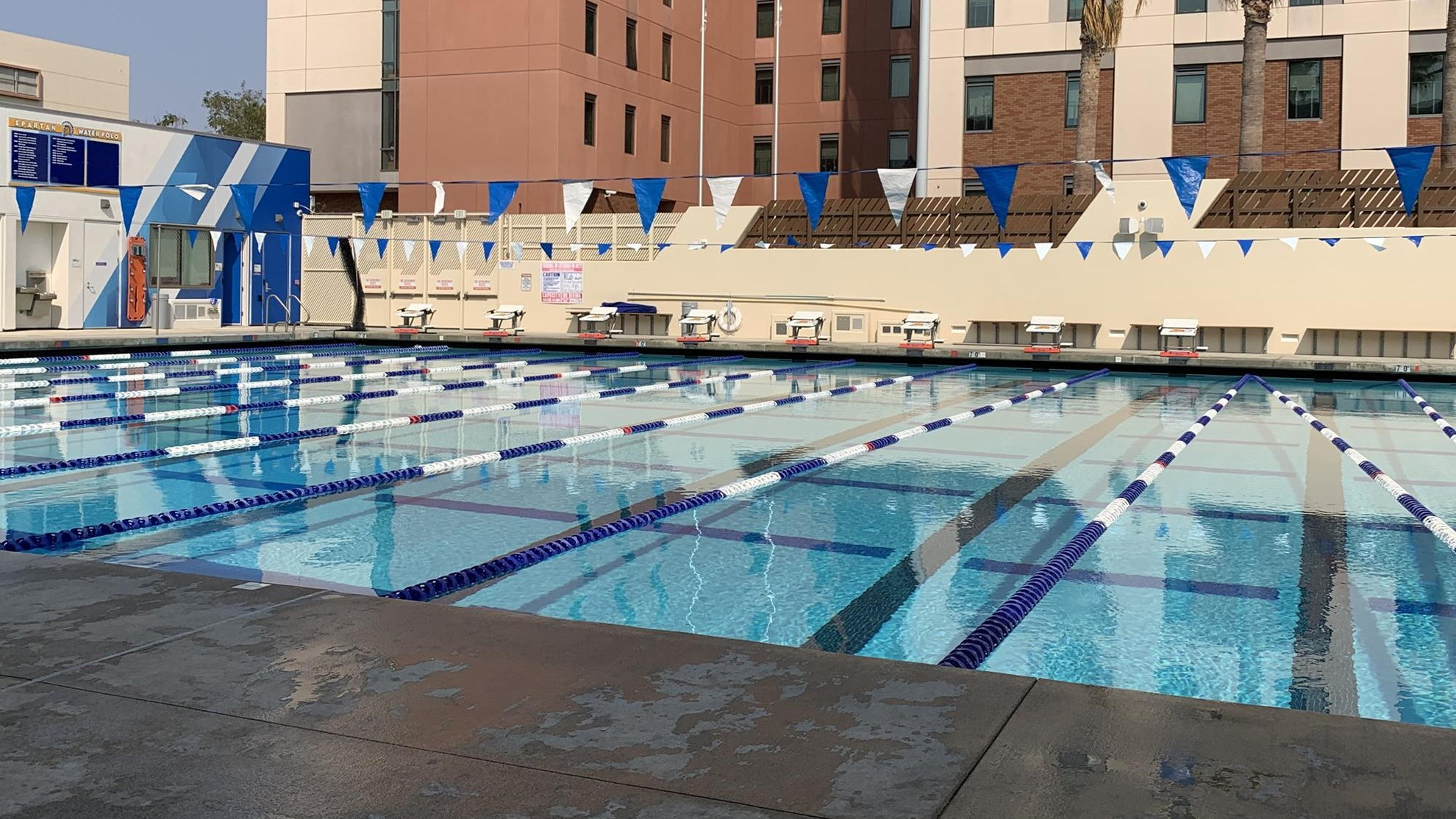 Swimming & Diving Adds Eight for 2023-24 Season - SJSU Athletics ...