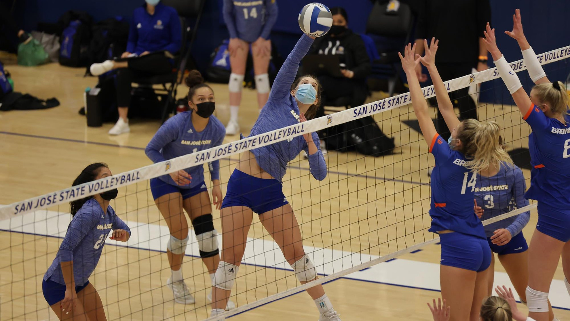 Allyson Alden - Women's Volleyball 2020 - SJSU Athletics - Official ...