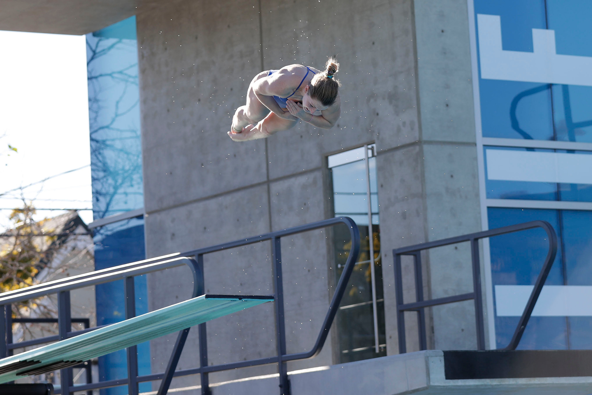 Reiswig Ninth In 1-Meter Dive At Northern Arizona Lumberjack ...