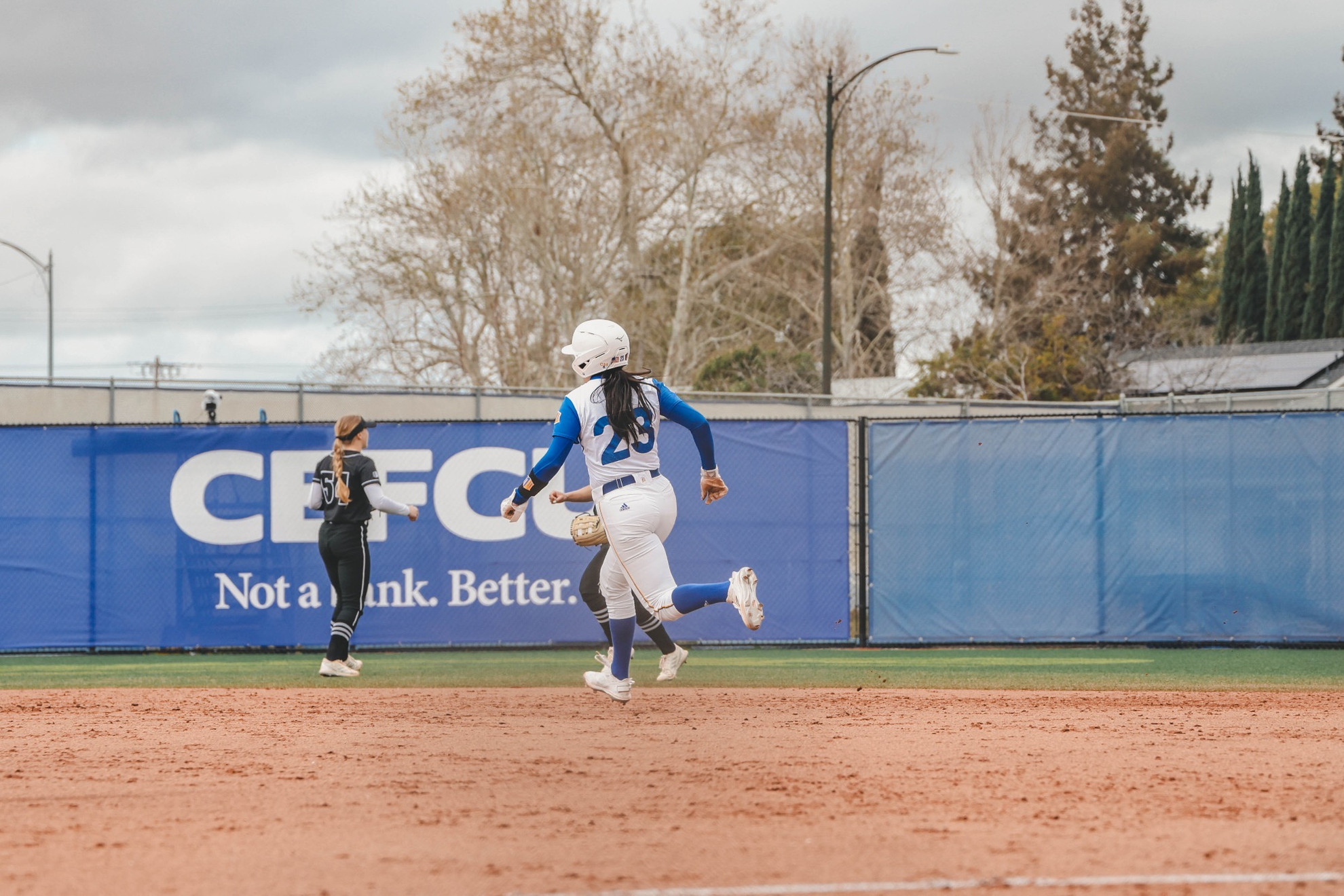 Spartans Fall in Series Finale, But Win First MW Series of the Season ...