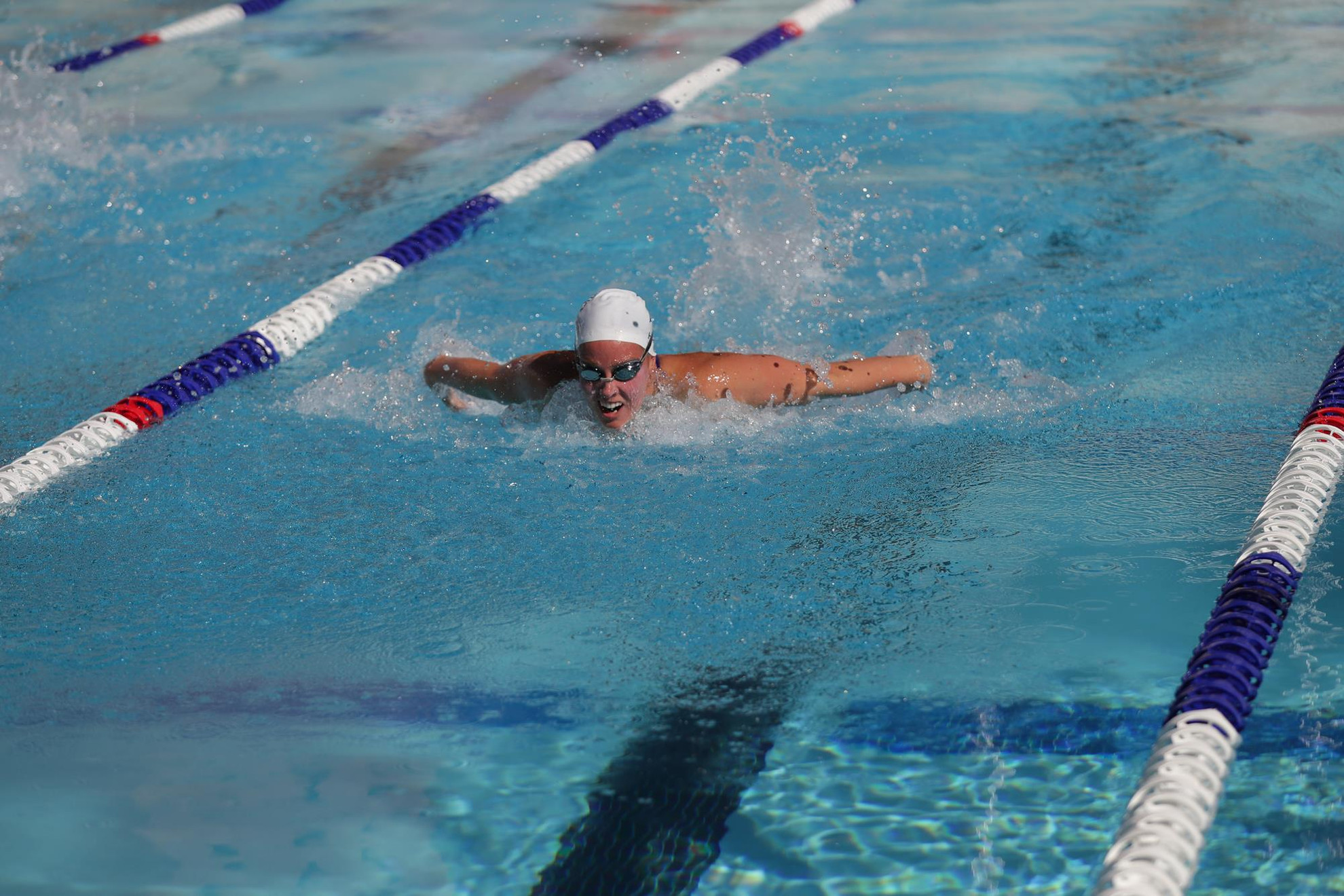 Kate Hanf - Women's Swimming and Diving 2018-19 - SJSU Athletics ...