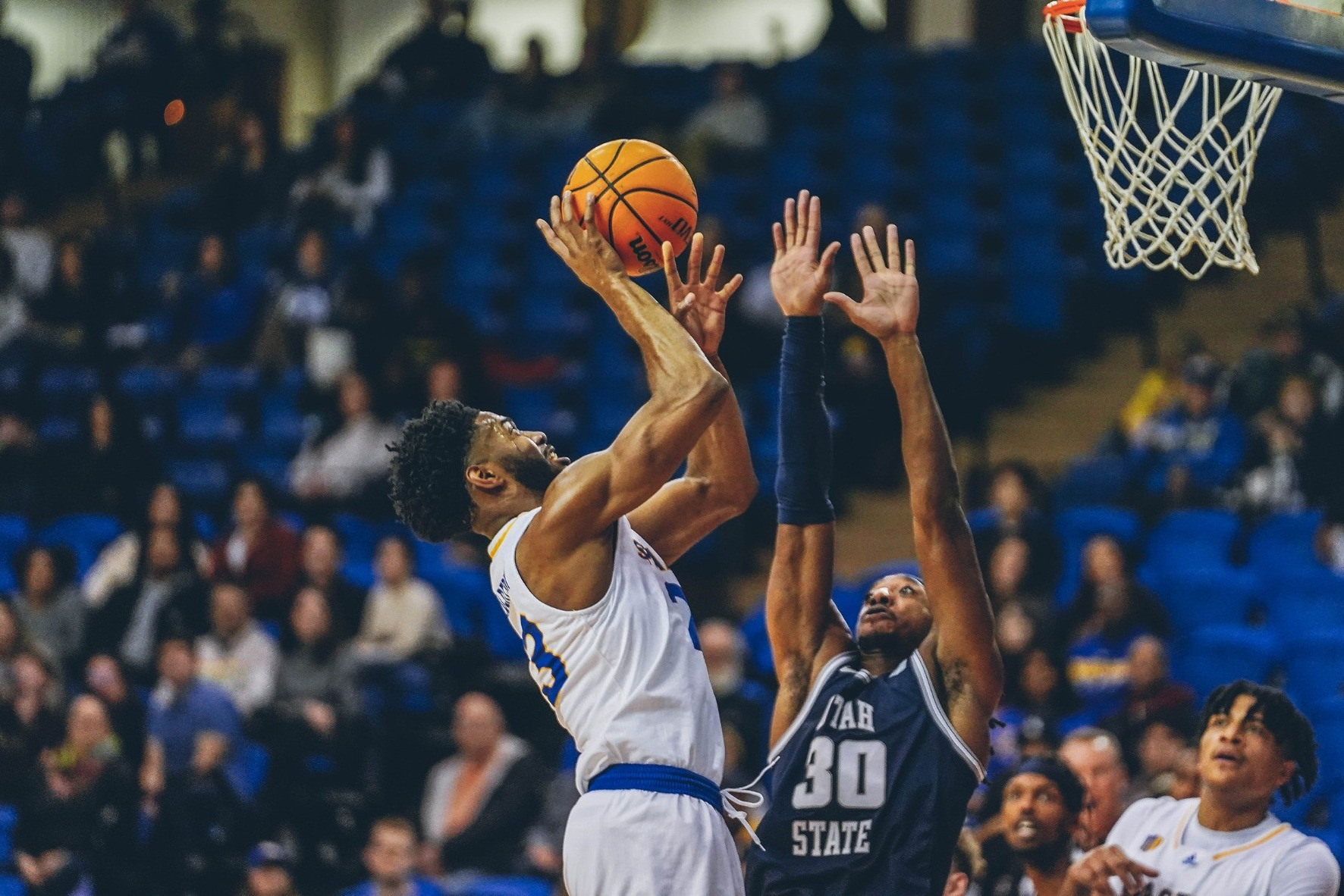 Friday Night Lights For Spartans vs. Lobos - SJSU Athletics - Official ...