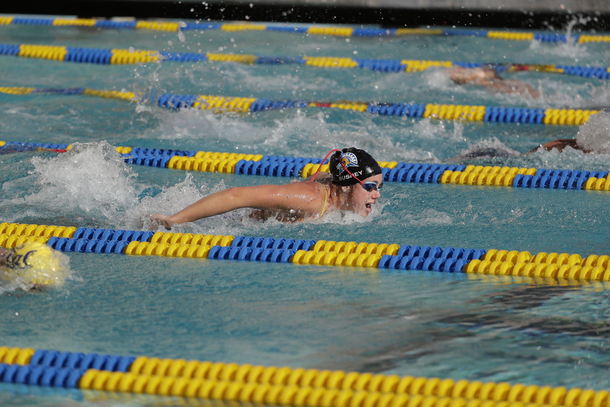 San Jose State Women's Swimming & Diving Loses At Fresno State, 172-128 ...