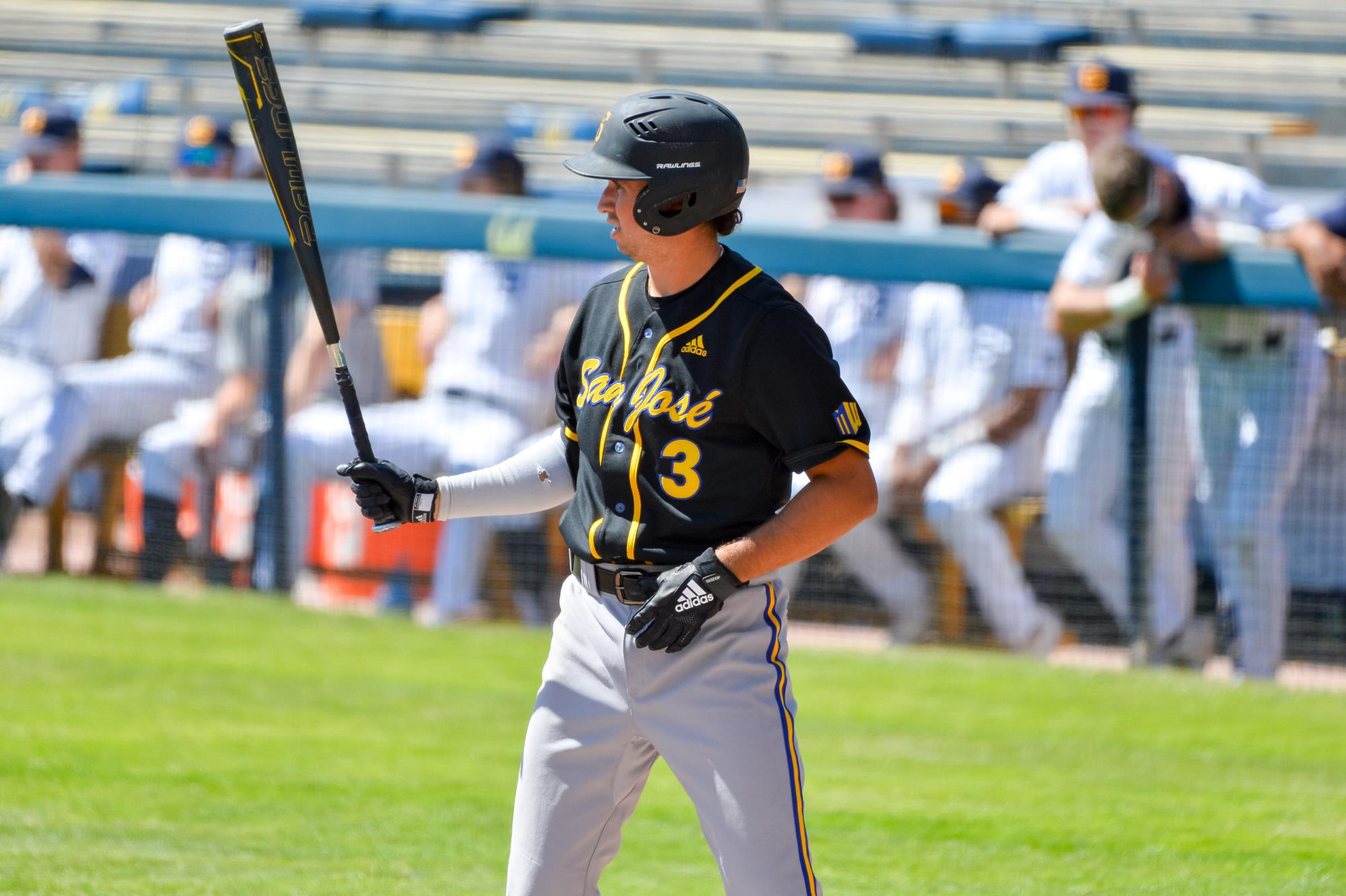 Reece Hernandez - Baseball 2021 - SJSU Athletics - Official Athletics ...